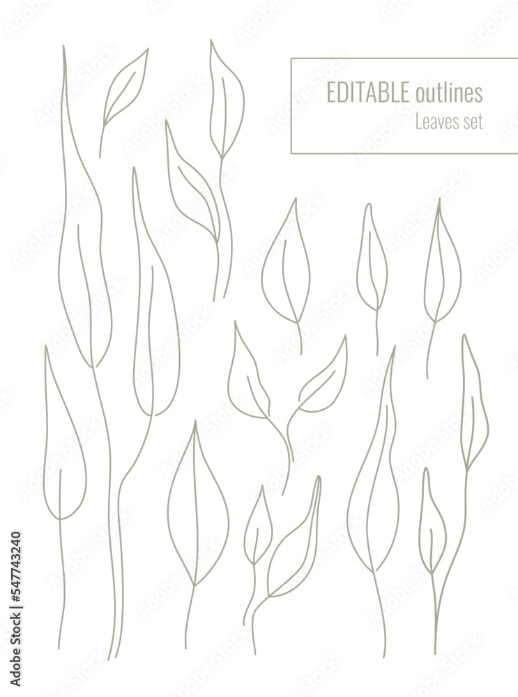 Set of many vector hand drawn contour leaves on white background ...