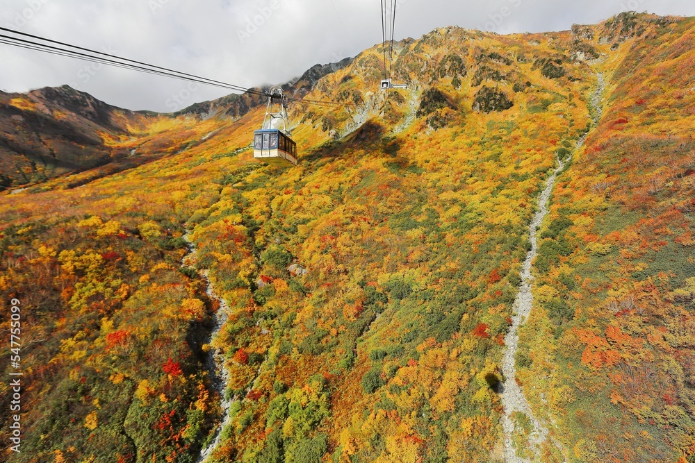 Magnificent autumn scenery of colorful foliage on rugged mountain ...