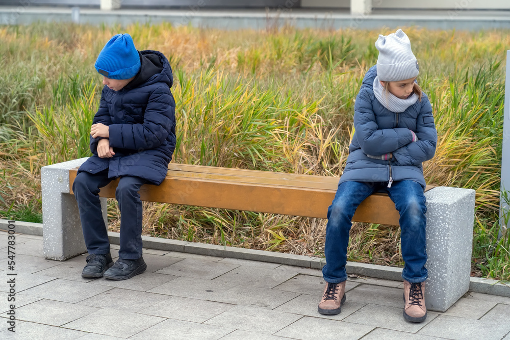 Offended brother and sister not talking to each other after quarrel ...