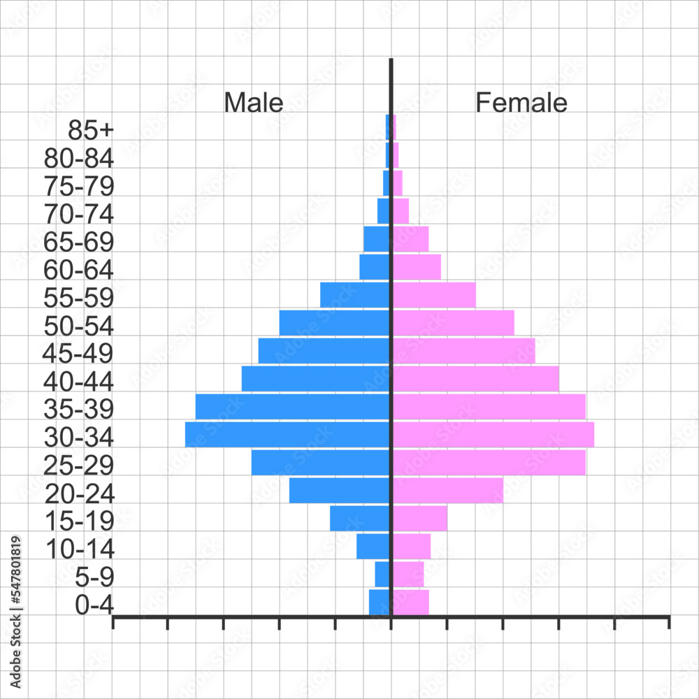 Population pyramid template. Sample of age structure diagram isolated ...