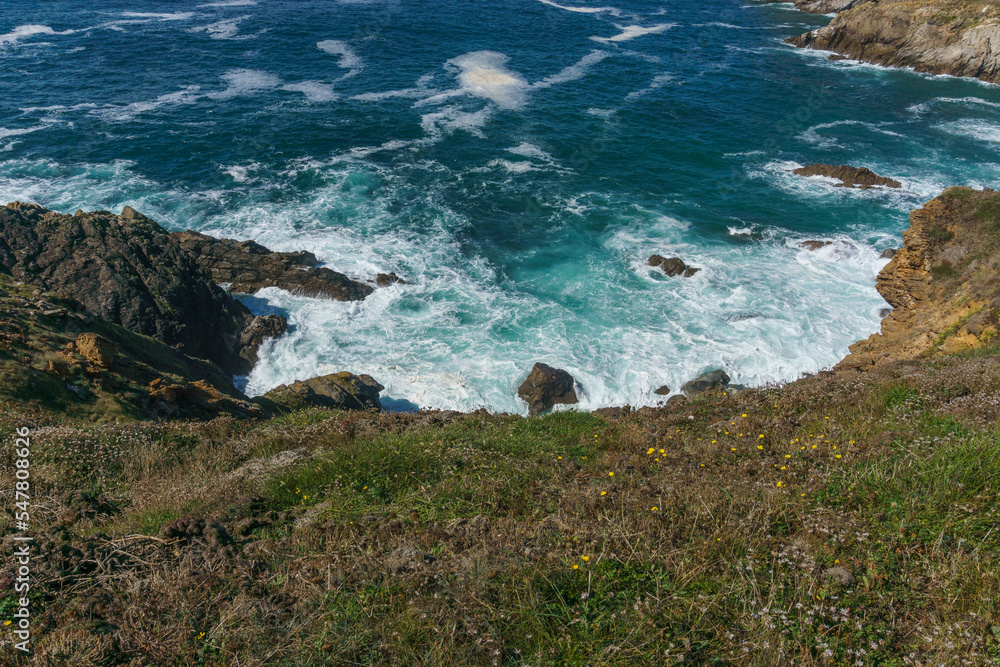 Heather grown coast at Pointe du Van with view at the wild wavy water ...