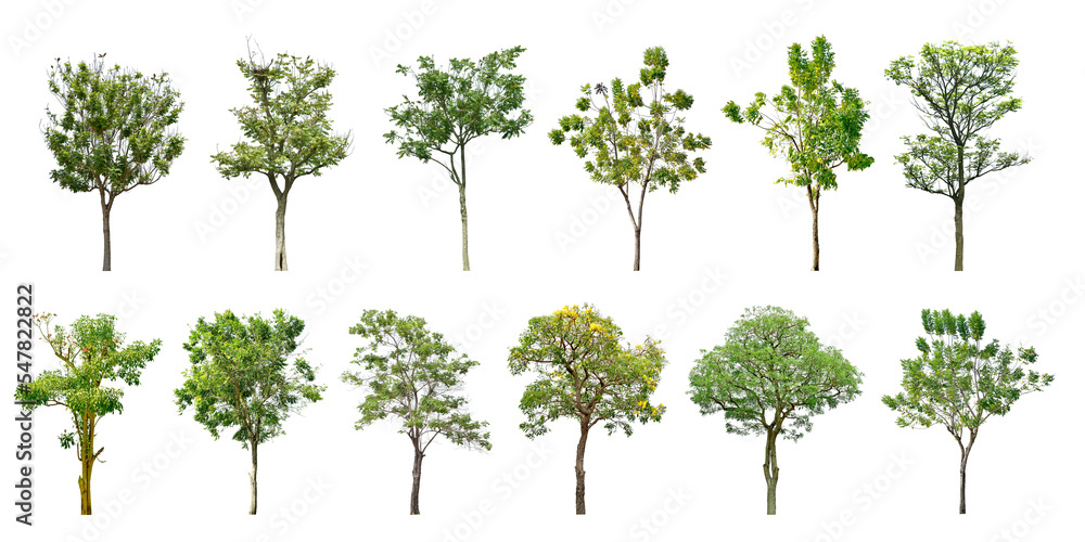 Collection Trees green leaves and some with yellow flowers. total 12 ...