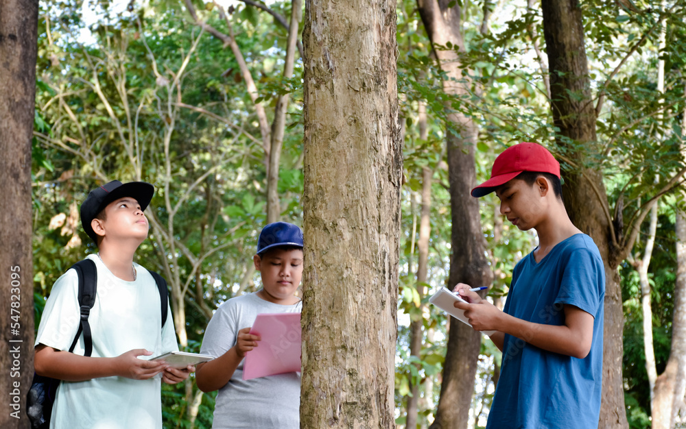 Asian boys outside classroom learning by taking note the spicies of ...