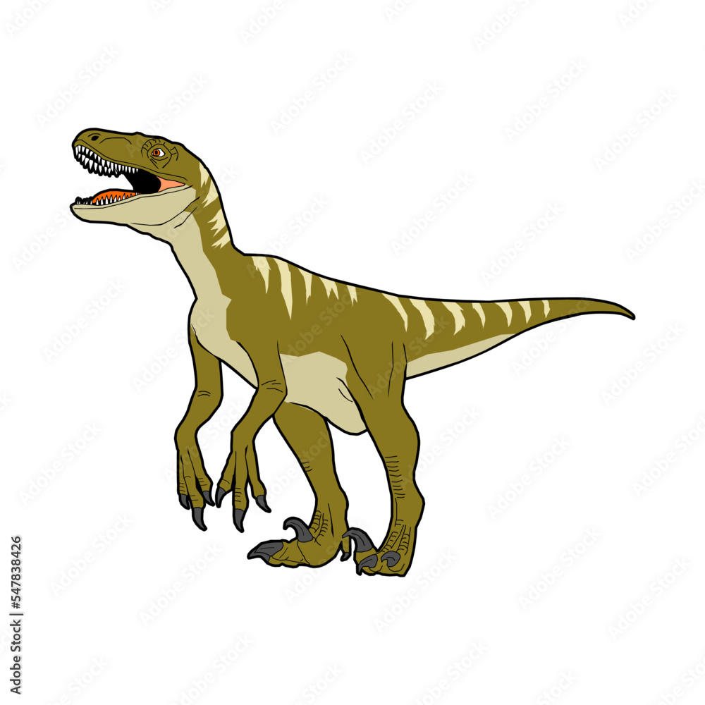 Velociraptor Dinosaur Vector Illustration Stock Vector Adobe Stock