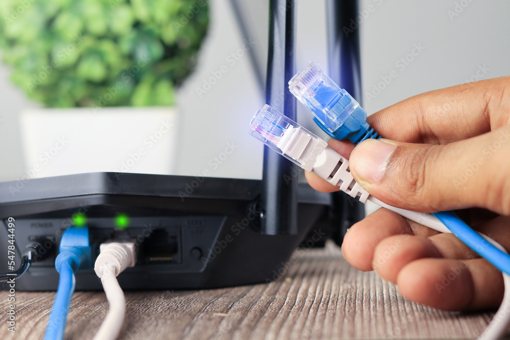Hand holding Blue and white Cable Network RJ45 Lan Internet. router and ...