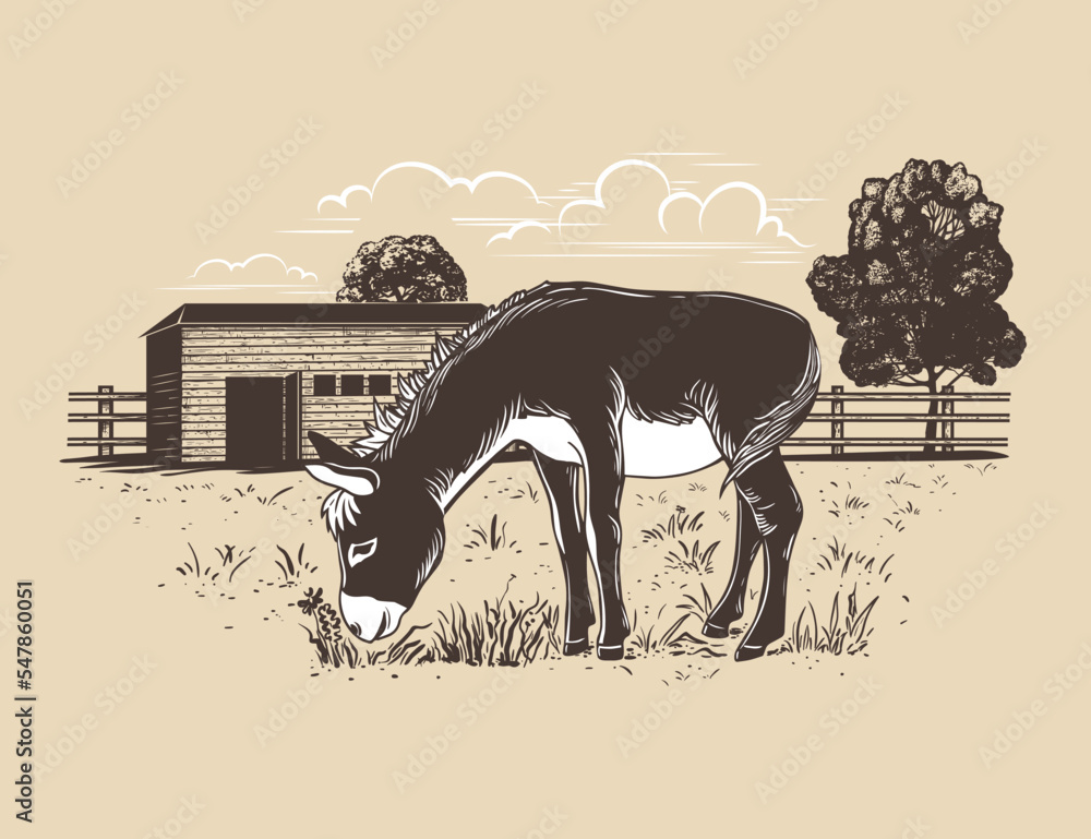 . Donkey grazing on the grass, landscape with trees, stable and fence ...