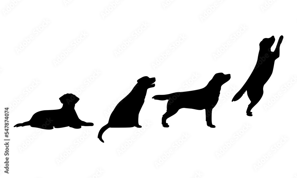 Labrador dog illustration. Set poses standing jumping. Various actions ...