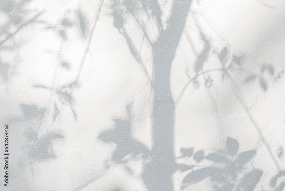 Tree shadow and light of leaf branch background. Nature leaves tropical ...