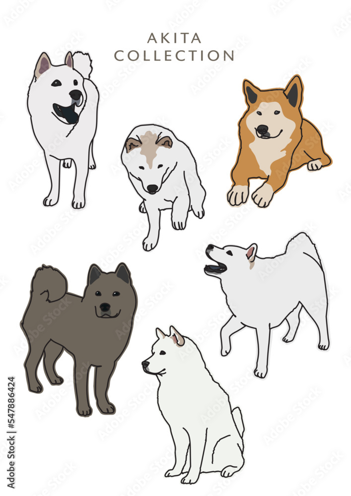 Akita Dog Outline Color in Various Poses Stock Vector | Adobe Stock