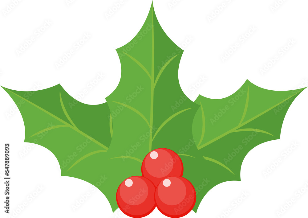 Elements of Christmas: holly with berries, Christmas plants, vector ...