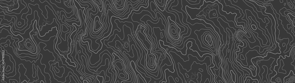 Topographic Map Patterns Topography Line Map Outdoor Vector Background Editable Stroke Stock