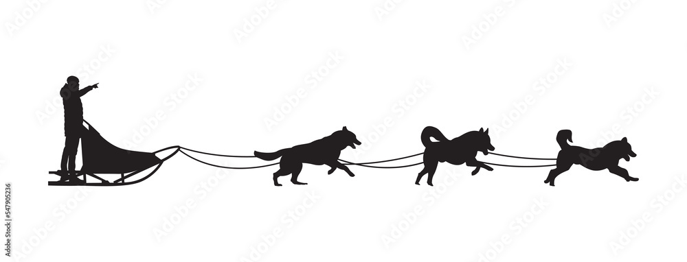 Poster Dog sled silhouette on a white isolated vector background ...