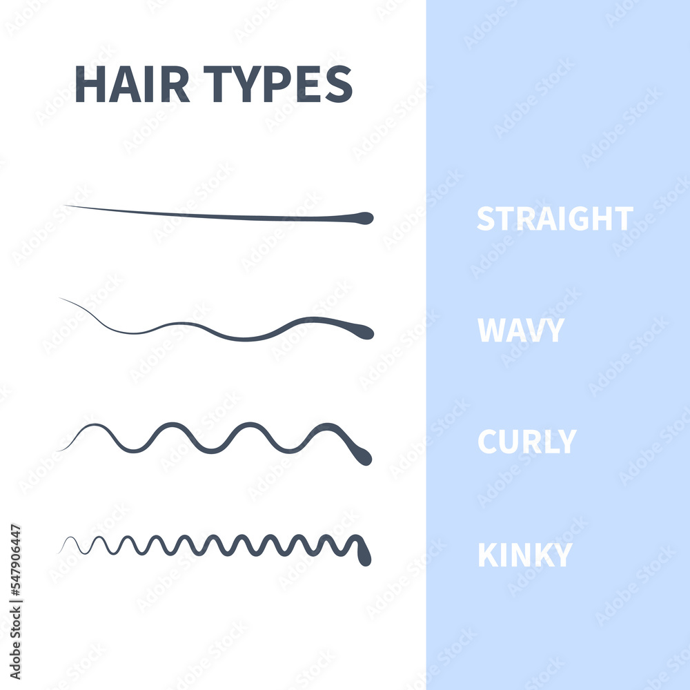Straight, wavy, curly, kinky hair types classification system set ...