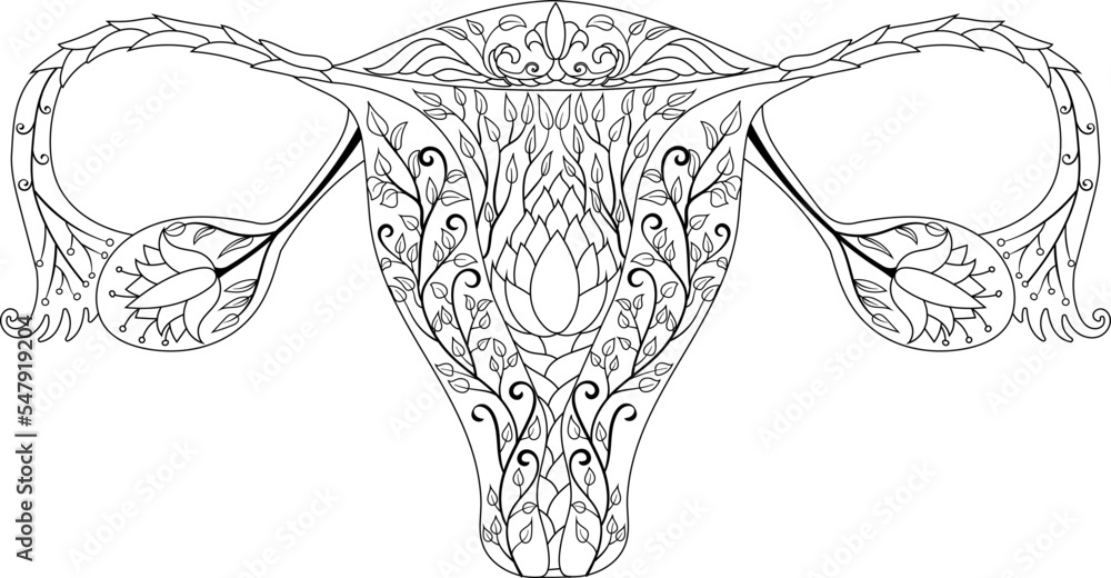 Beautiful Abstract Uterus Anatomy Decorated With Flowers Leaves And Ornamental Elements The