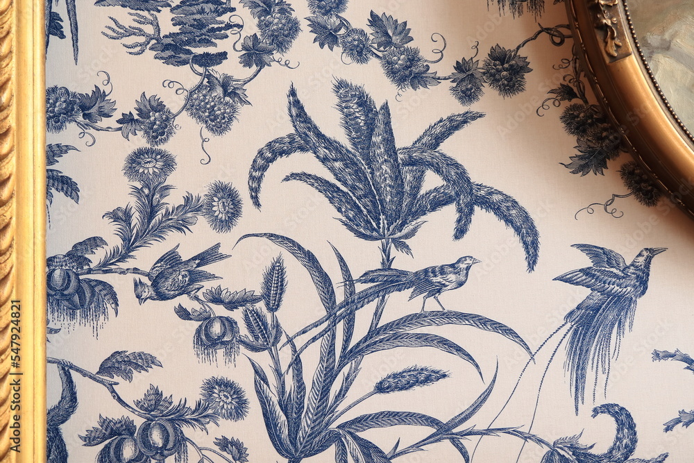 Toile de Jouy Wall Covering with Golden Frames Close Up in a Historic ...