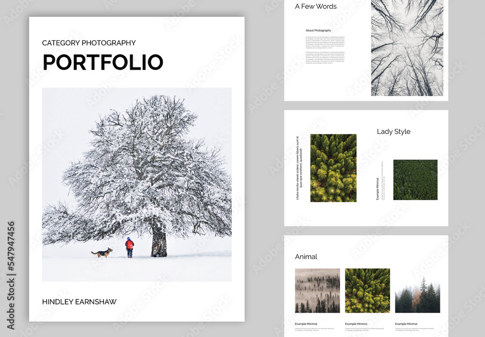 Portfolio Layout Stock Template | Adobe Stock