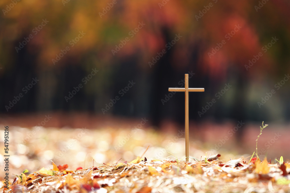 Crucifixion of Jesus Christ on a pile of fallen leaves in a beautiful ...
