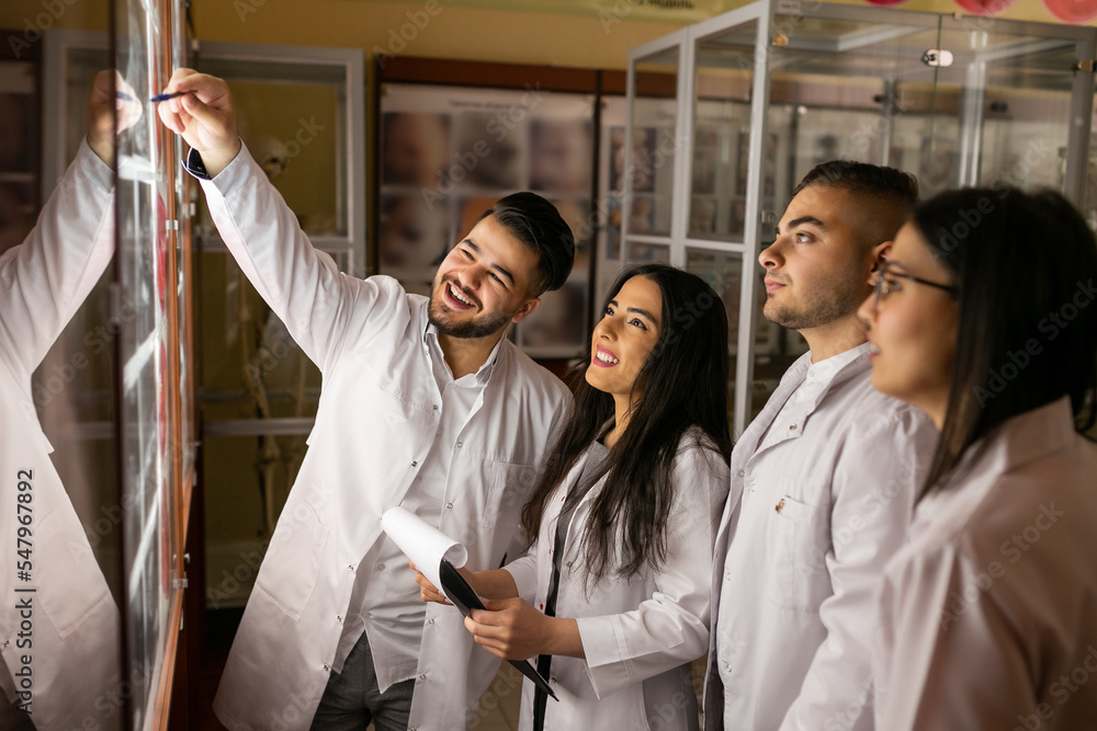 A group of surgeon interns is studying fetal development at different ...