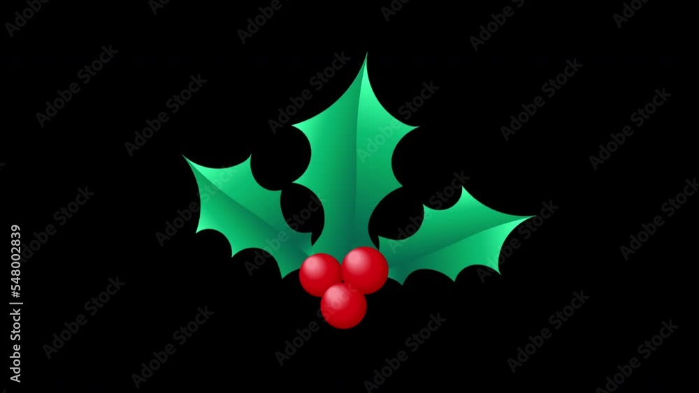 4K Realistic Animated Merry Christmas Holly Berries Isolated on black ...