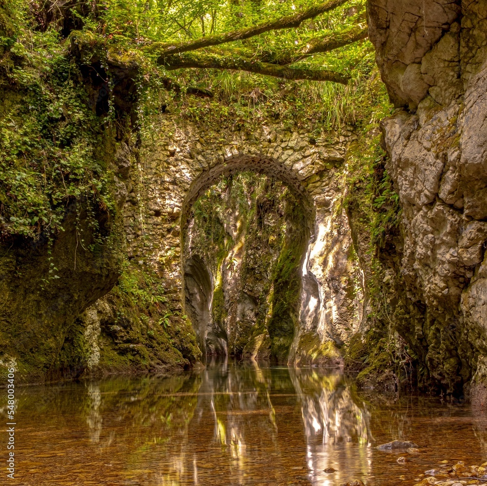 Beautiful scenery of a medieval bridge covered with vegetation over a ...