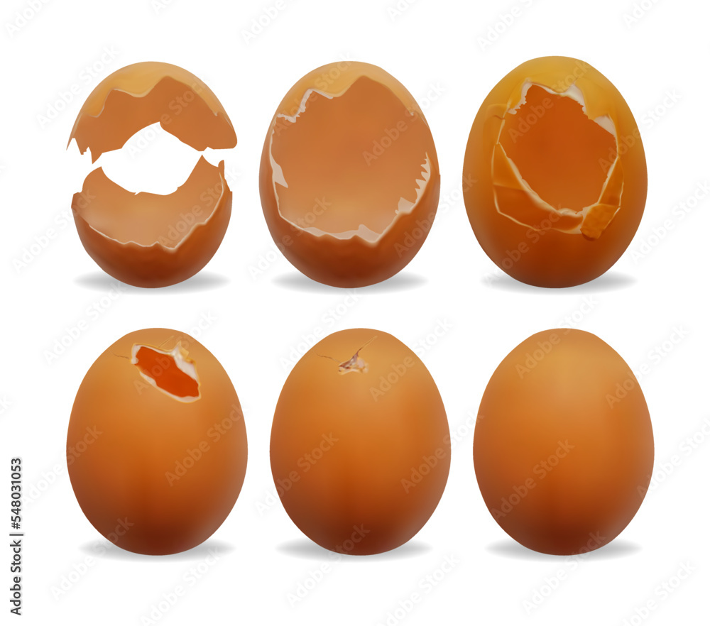 Realistic Detailed 3d Chicken Egg Broken and Whole Set. Vector illustration of Eggshell Cracking ...