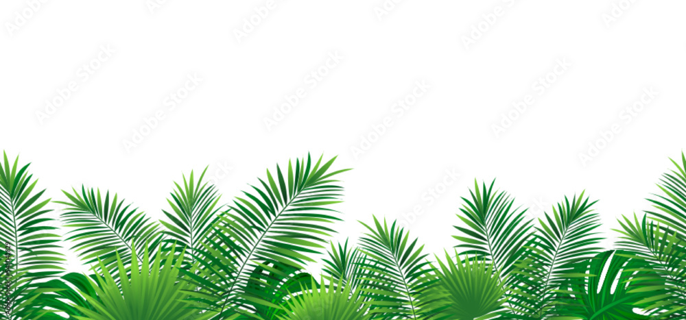 Tropical leaves seamless pattern vector illustration. Rainforest border ...