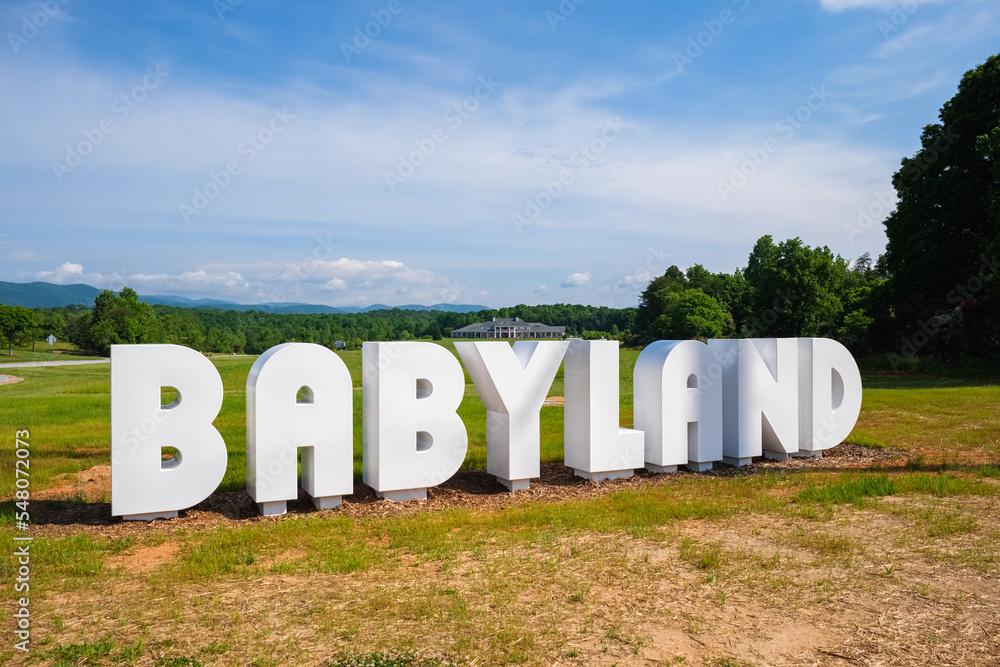 Babyland General Hospital, the birthplace of the popular Cabbage Patch ...