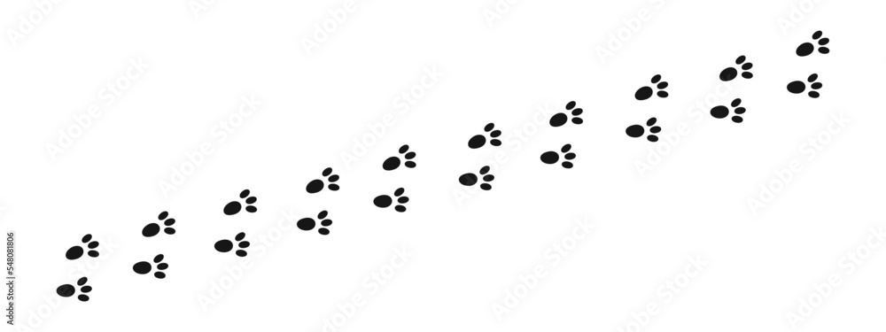 Bunny pawprints. Rabbit paw stamps. Trace of wet or mud steps of ...