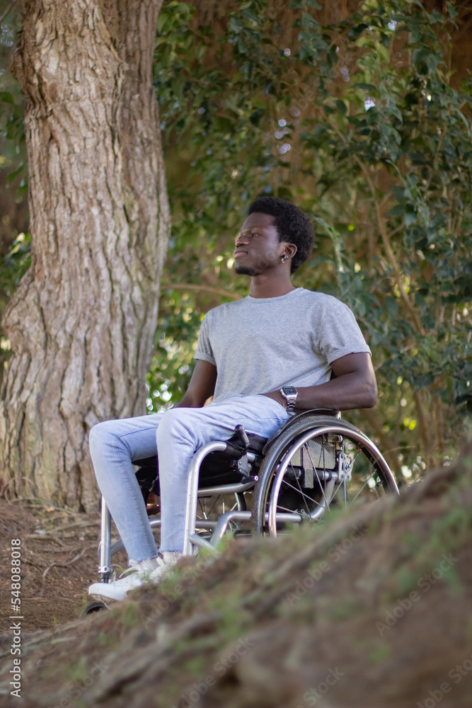 Bottom shot of young man in wheelchair enjoying park view from hill top ...