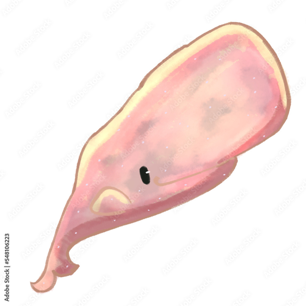 Crayon sperm whale illustration with white background. Hand-drawing ...