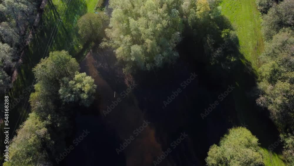 Top down drone shot moving backwards of forest consisting of trees with ...
