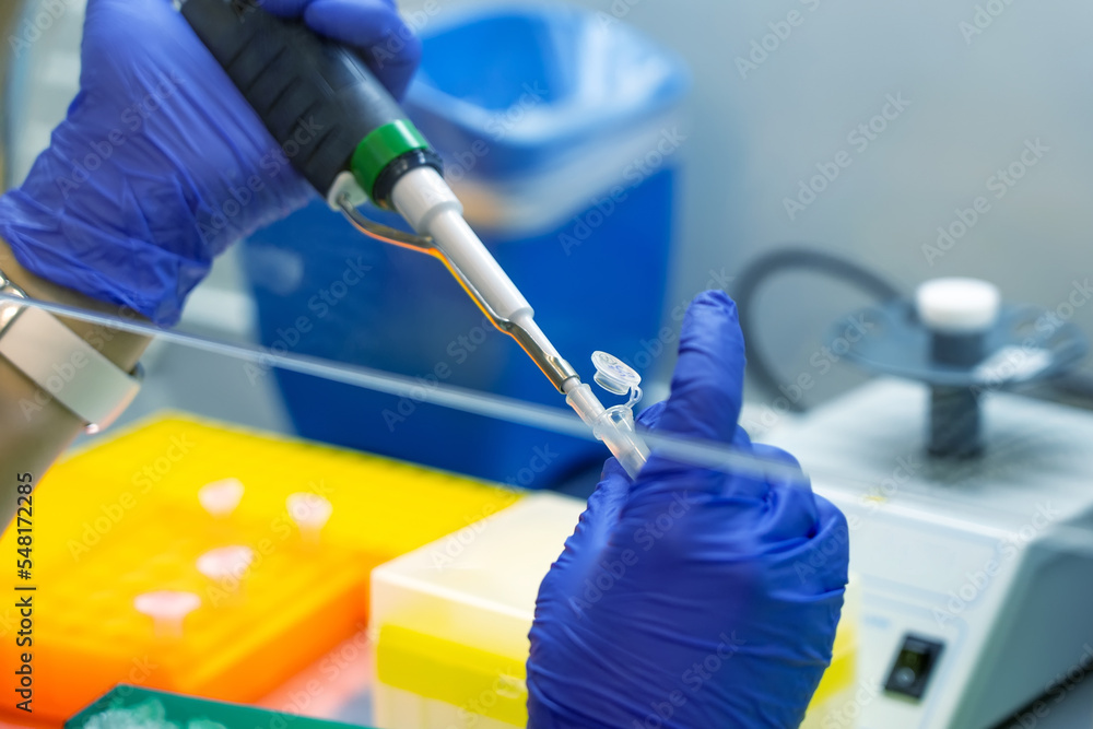 Scientist pipettes sample into vial for DNA testing. Scientist loads ...