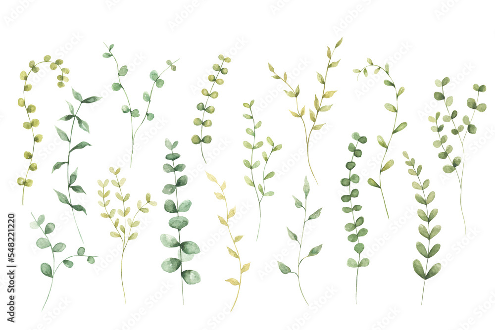Watercolor greenery illustrations set isolated. Leaves watercolor ...