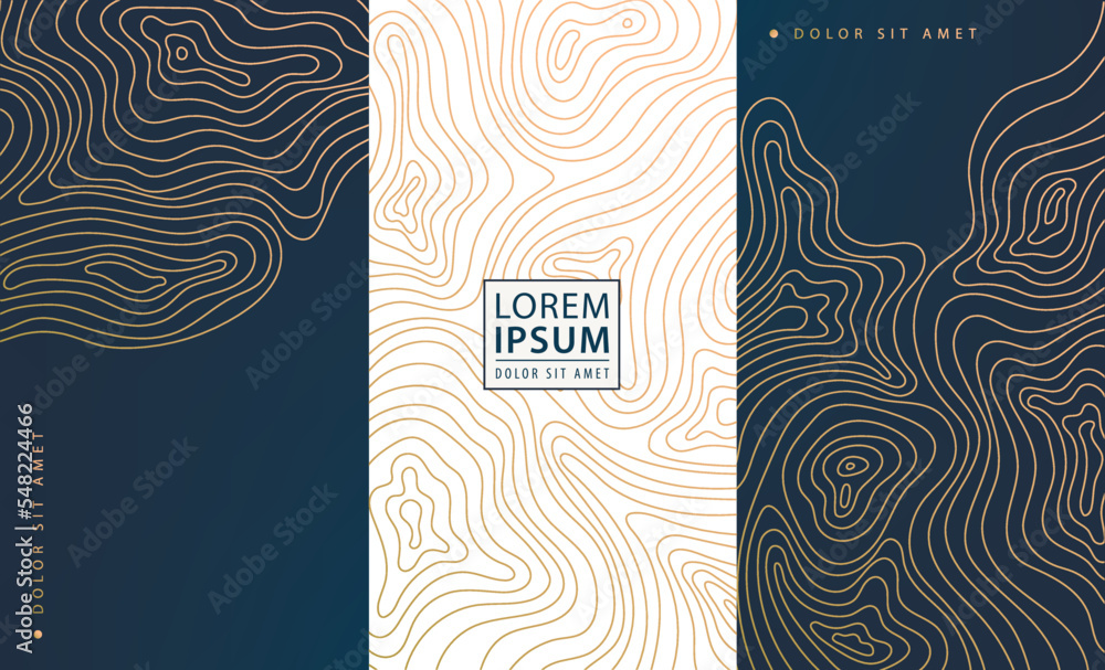 Vector topographic map set banners. Contour line geographic map pattern ...