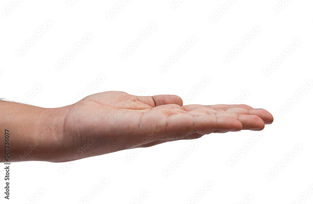 Man's hand holding open palm up isolated on white background. Palm up ...