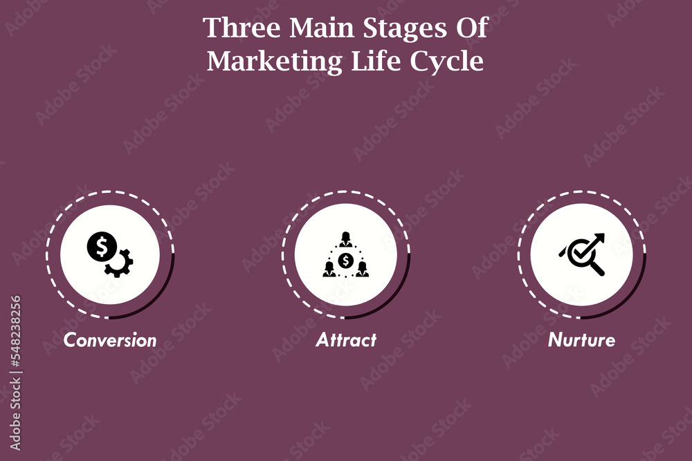 Three main stages of the Marketing Life Cycle with Icons in an ...