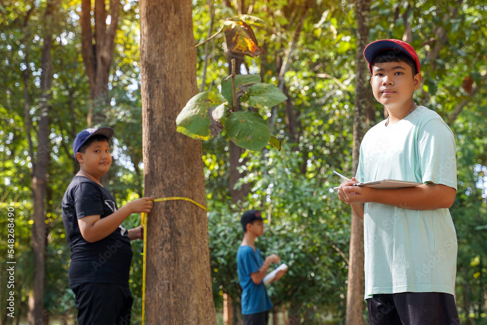 Asian boy taking notes on trees measured by friends to calculate the ...