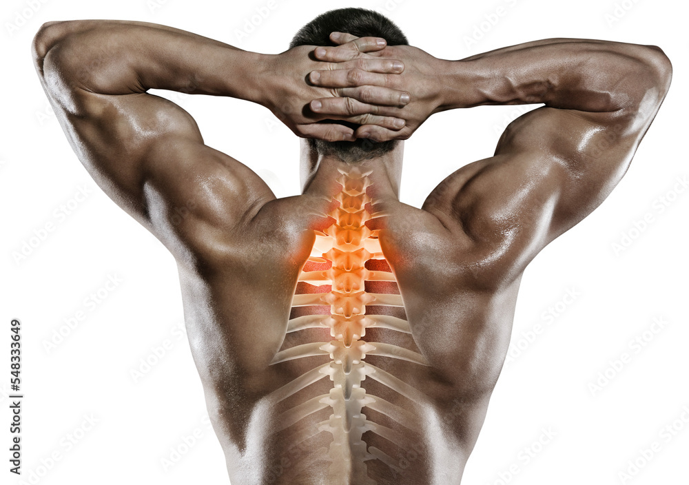 Sports and healthcare. Spine pain on transparent background. Stock ...