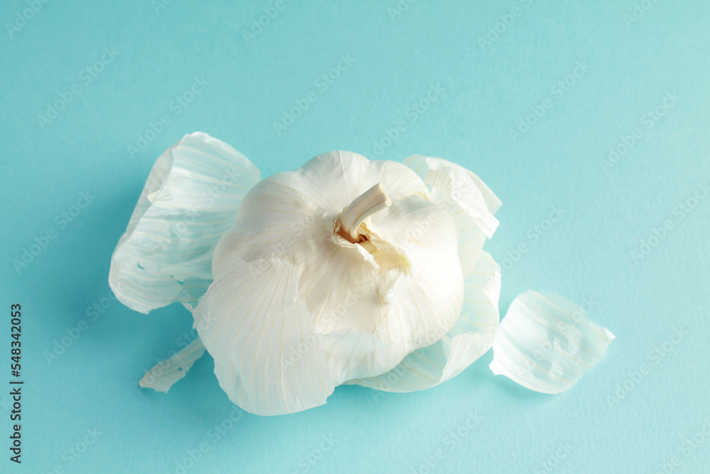 Fresh white unpeeled head bulb of garlic and garlic peel on blue color ...