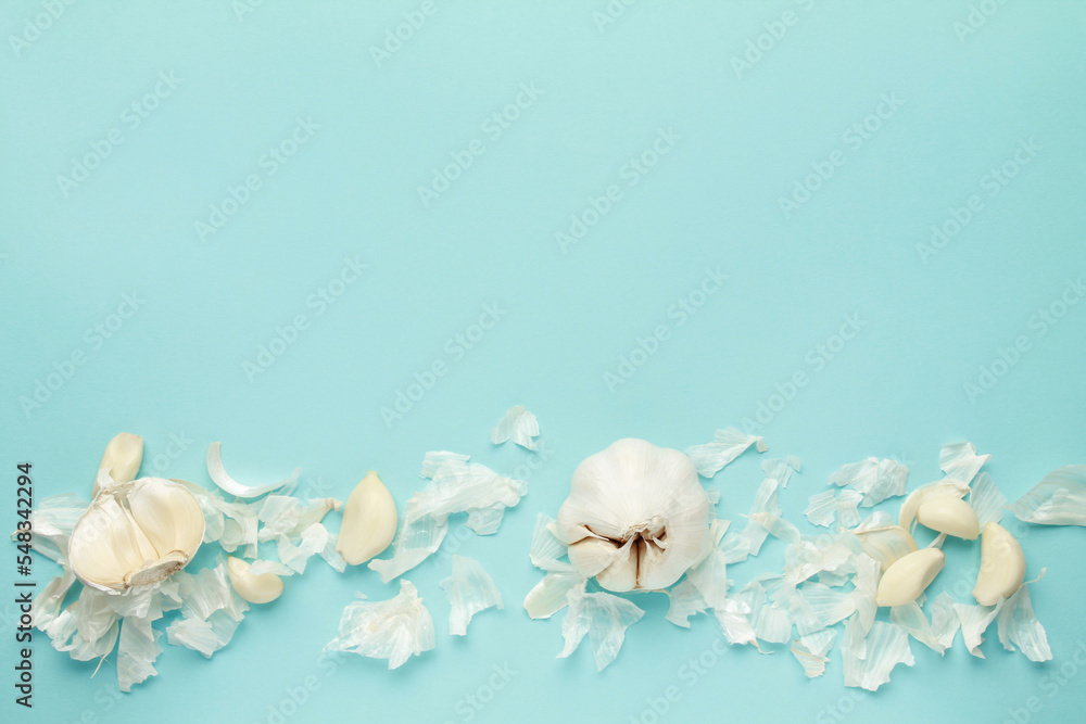 Fresh white unpeeled head bulb of garlic and garlic cloves peel on blue ...