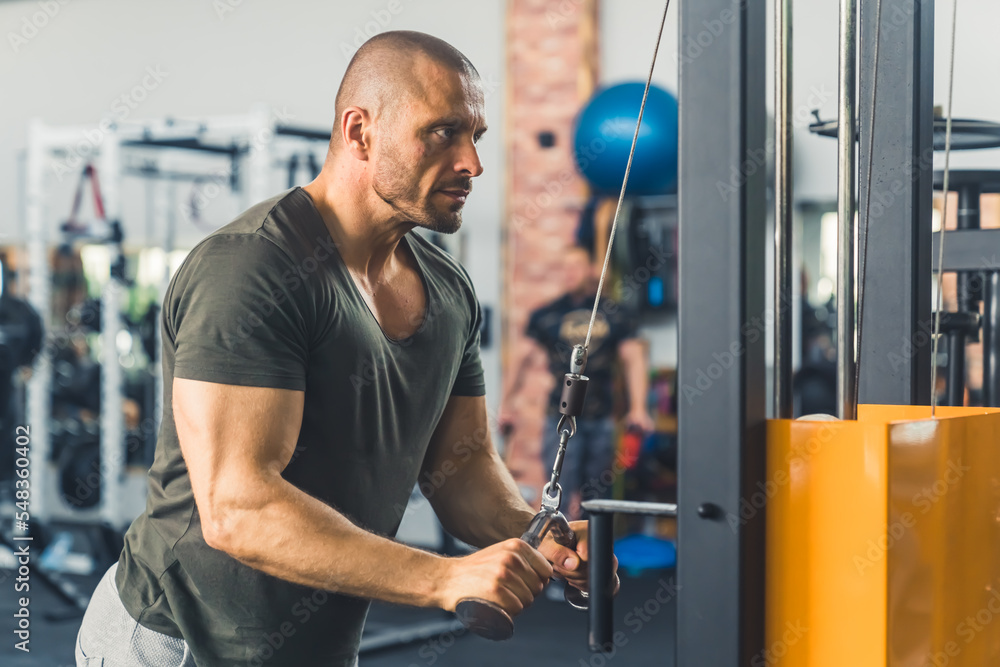 Strong, muscular, handsome bald man, bodybuilder, performing cable ...
