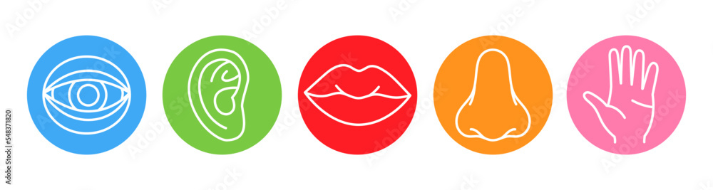 Five human senses line icons set. Vision, smell, hearing, touch, taste ...