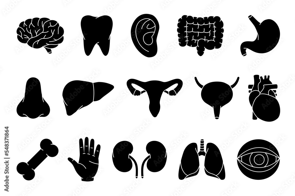 Human organs black sketch set. Brain, tooth, ear, intestines, stomach ...
