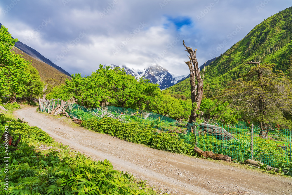 The natural beauty of the forest park and Meili Snow Mountain in ...