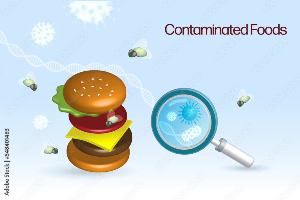 Contaminated Food By Flies