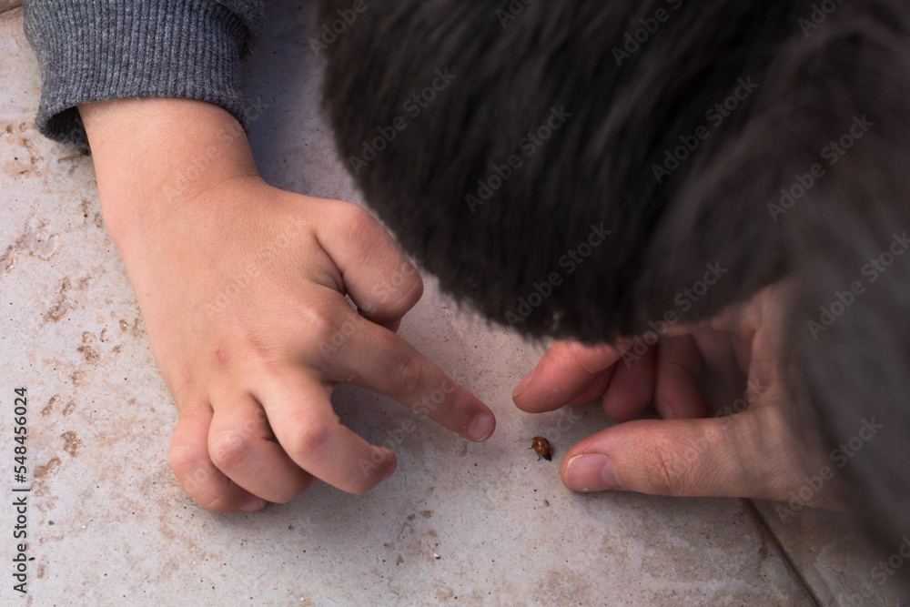 Foto de Niño explora y juega con un insecto junto con su madre ...