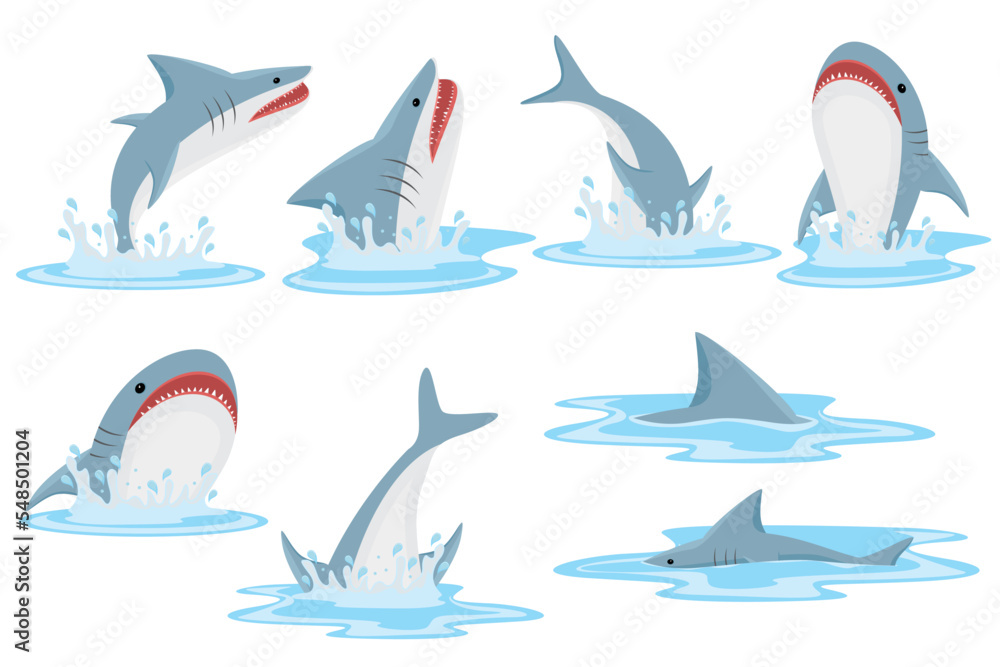 Shark vector set. Collection of sharks jumping in the water. Vector ...