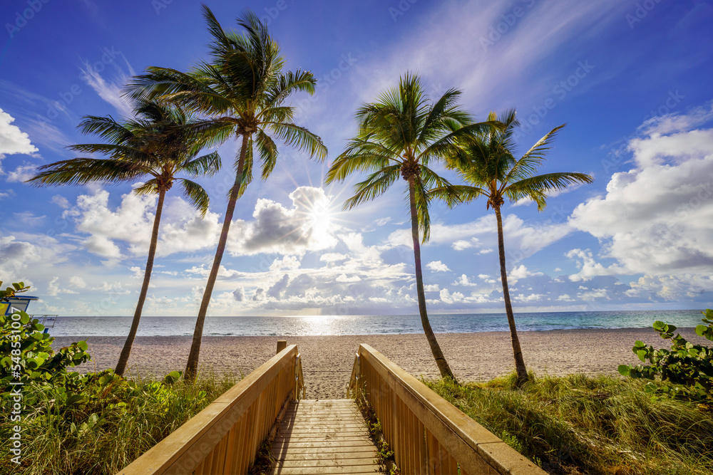 Beautiful Beach Path framed by Palmtrees leading to the Beach ...