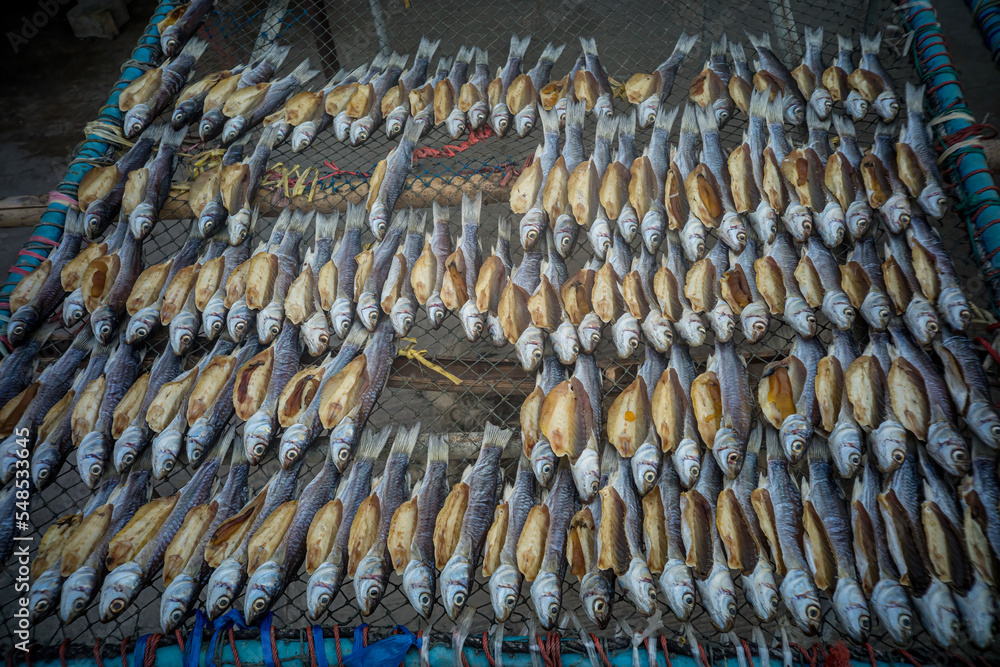 Food backgrounds. Dried mullet. Dried and salty mullet fishes group ...