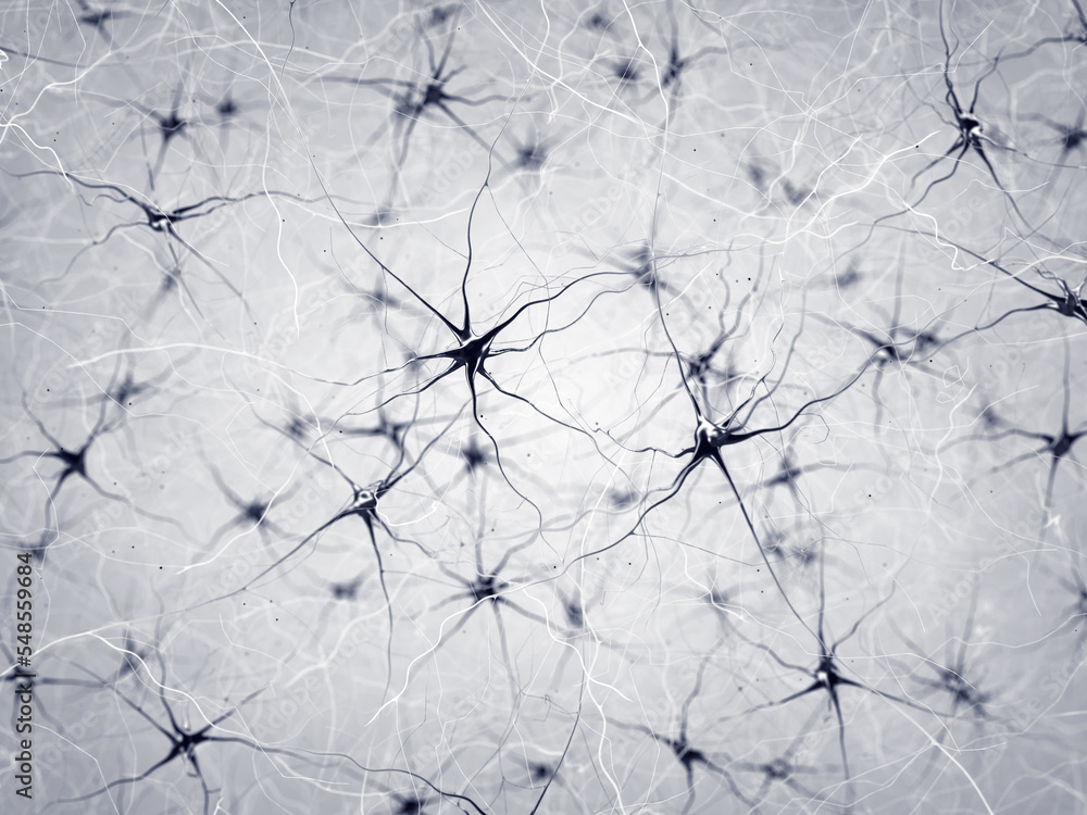 Poster Neurons also known as neurones or nerve cells – Wall Art | UkPosters